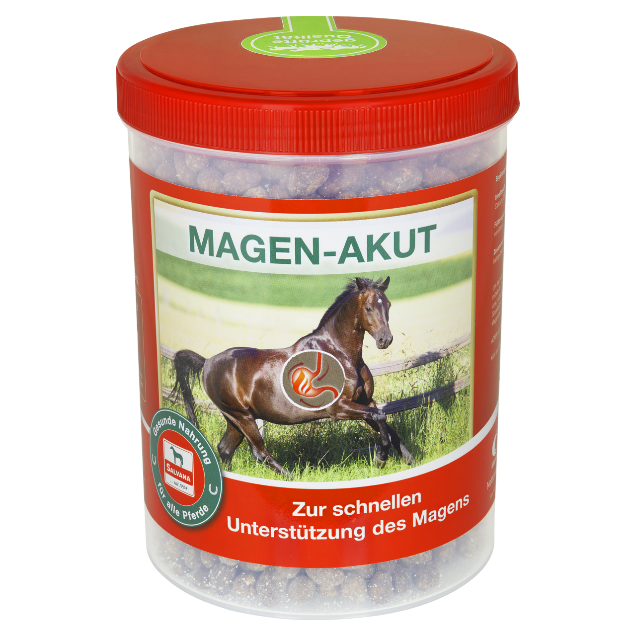 Der Magen des Pferdes I SALVANA Pferdefutter