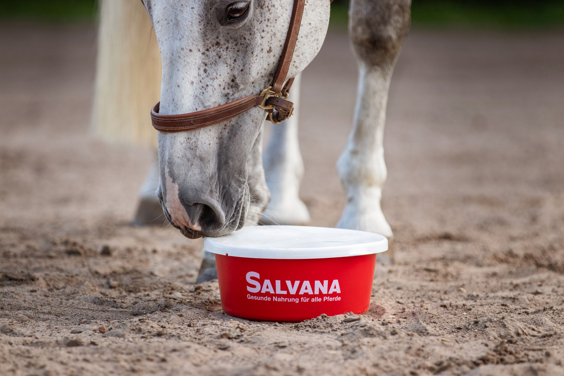 Pferdefutter: natürlich vom Spezialisten | SALVANA